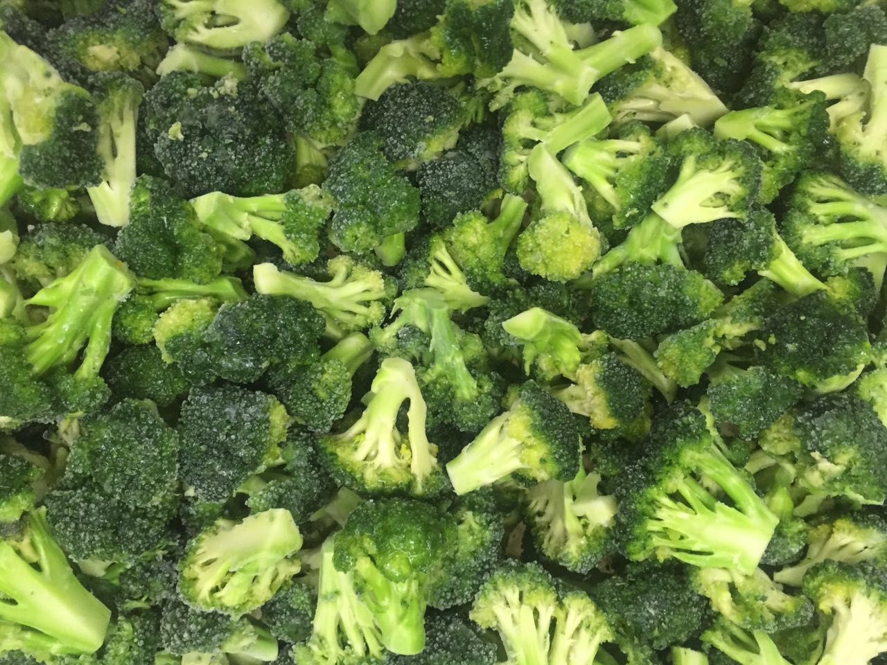 Broccoli Florets - 1kg/pack – MyOwn Meat Shop